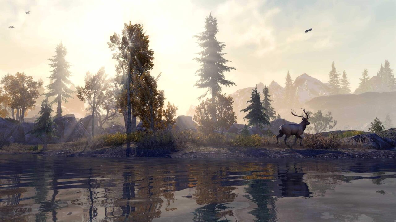 Big Graphical Changes Coming To ESO! - RPG DOJO