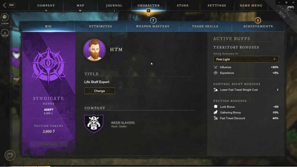 New World Beginner Guide - RPG DOJO